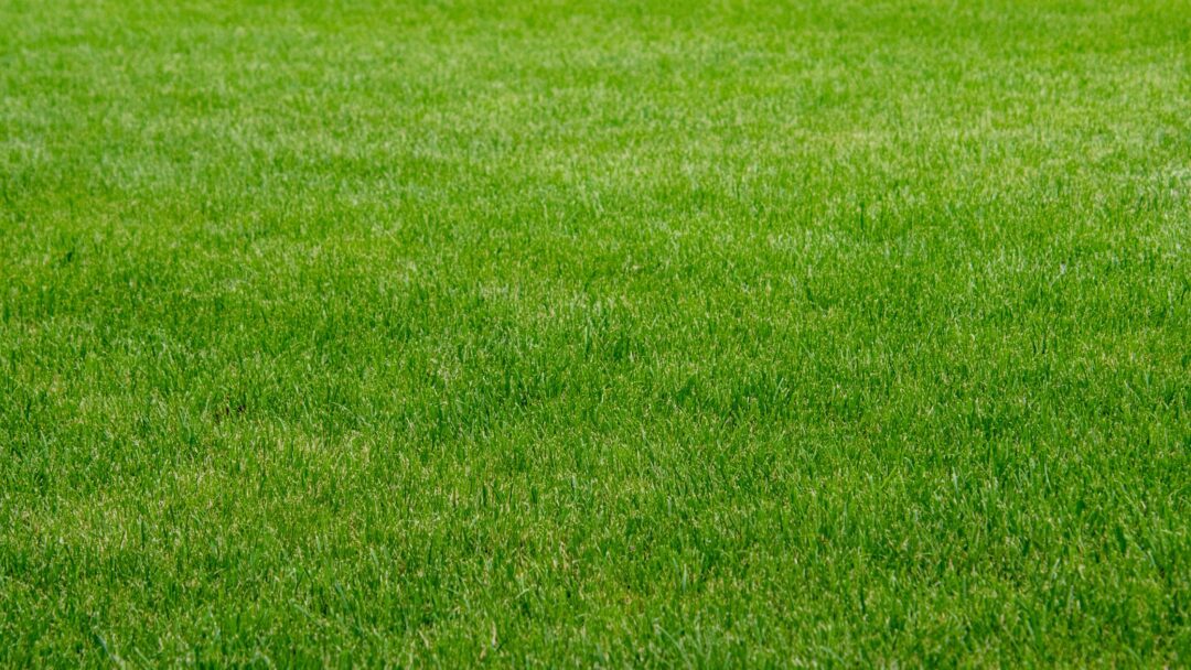 Sustainability in UK Grassroots Rugby Clubs - Fill Your Boots