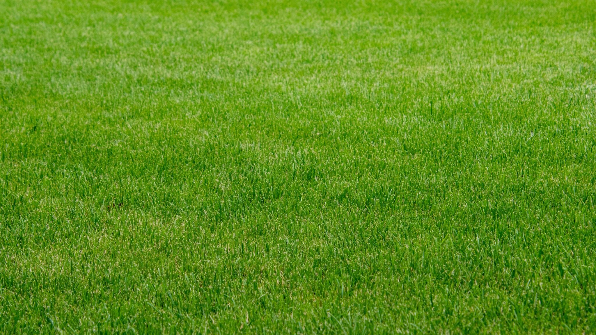 Sustainability in UK Grassroots Rugby Clubs - Fill Your Boots
